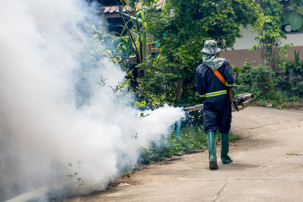 Critical Counterpoints: Human-mosquito relations from the Thai-Myanmar ...